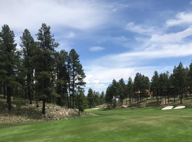 LOCAL GOLF COURSE GUIDE – Stripe Show